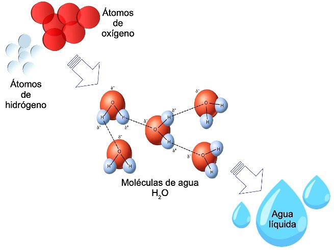 Atom (Concept and Definition)