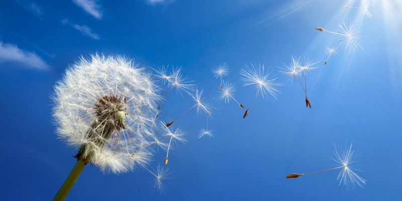 Air Meaning And Explanation Air Meaning And Explanation