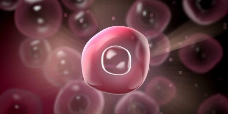 Cellular Reproduction (Meaning and Explanation)