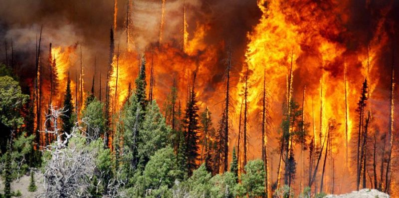 Natural Disasters (Meaning and Explanation)