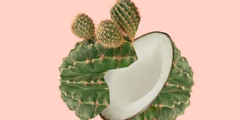 Paradoxically (Meaning and Explanation)